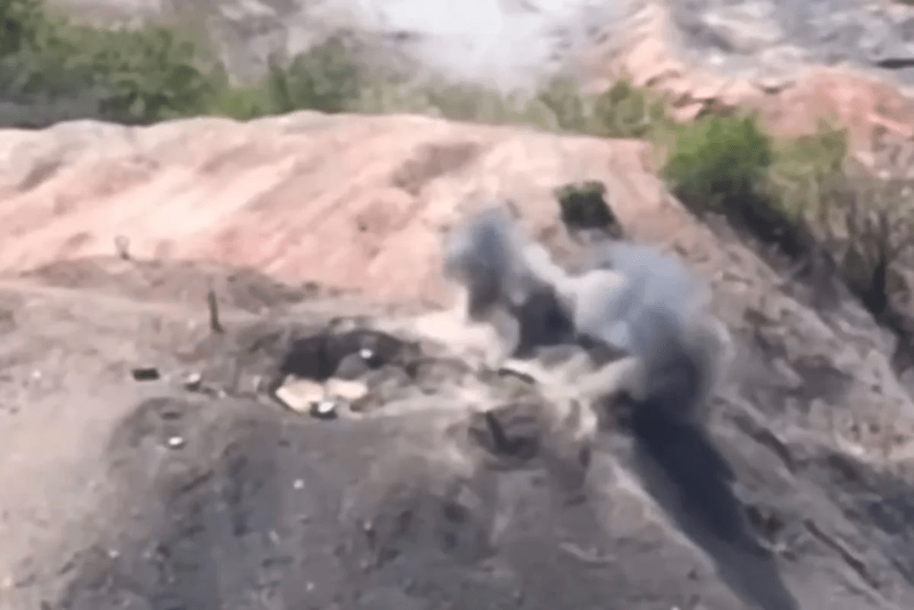 APU drone-kamikaze destroyed the Russian "eye of Mordor" - minister ...