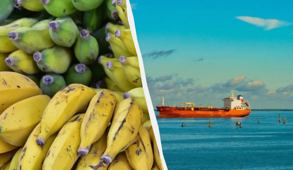 Russia has come up with a “banana scheme” for oil trade with India ...