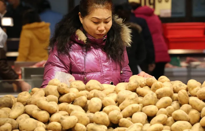 Dachas are being looted and potatoes are being taken away: Russia is ...