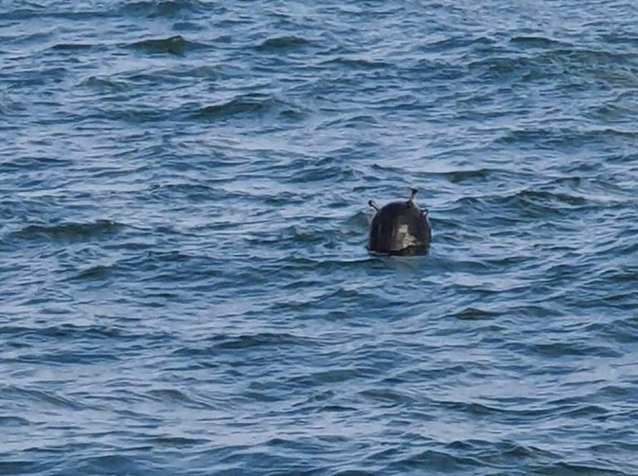 BREAKING NEWS: Mine explodes on beach near Odessa: three people killed ...