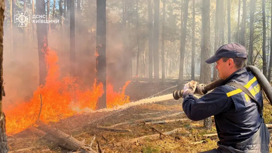 A large-scale forest fire in the Chernobyl zone continues – hundreds of ...